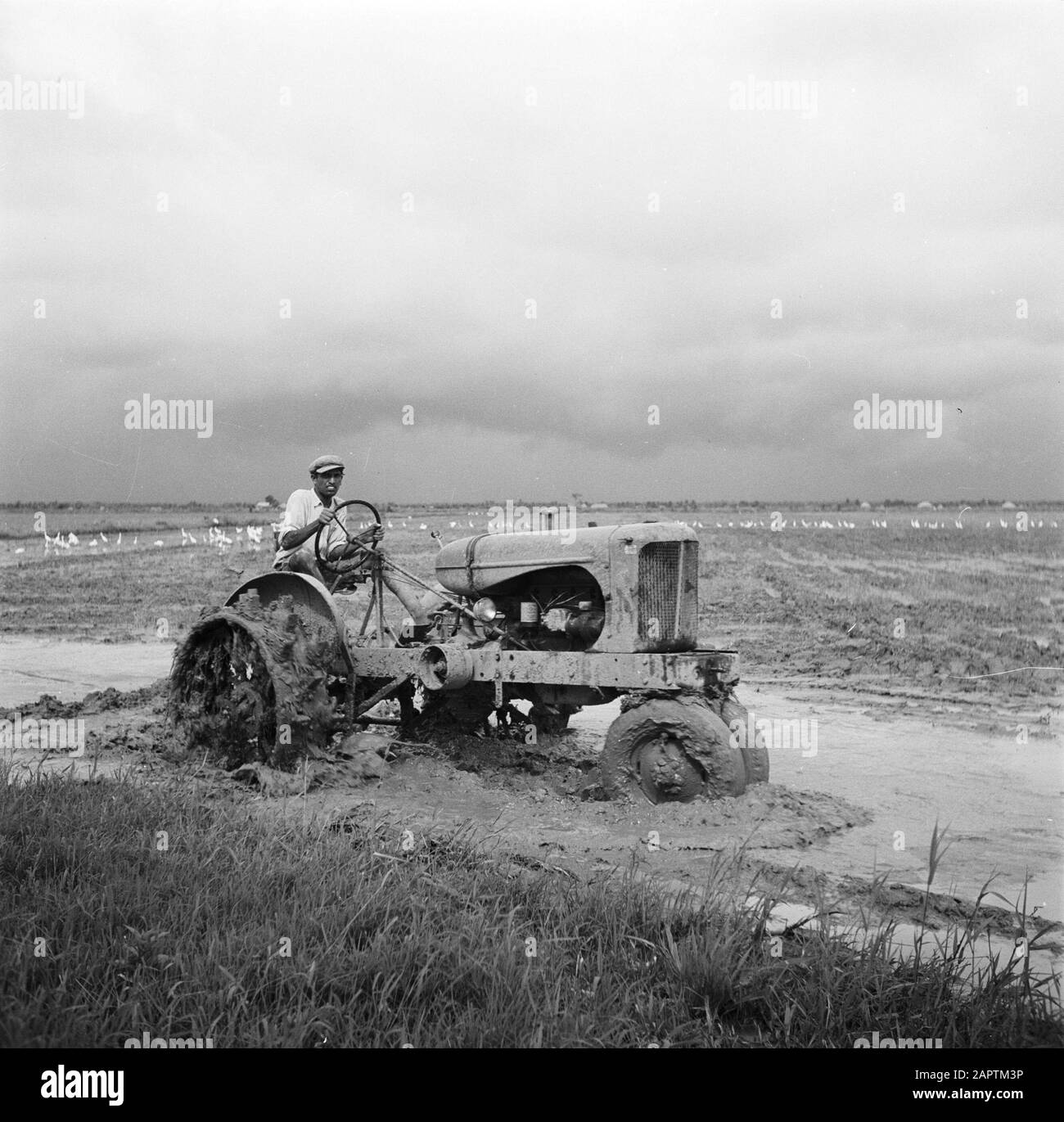 1947 agriculture hi-res stock photography and images - Alamy