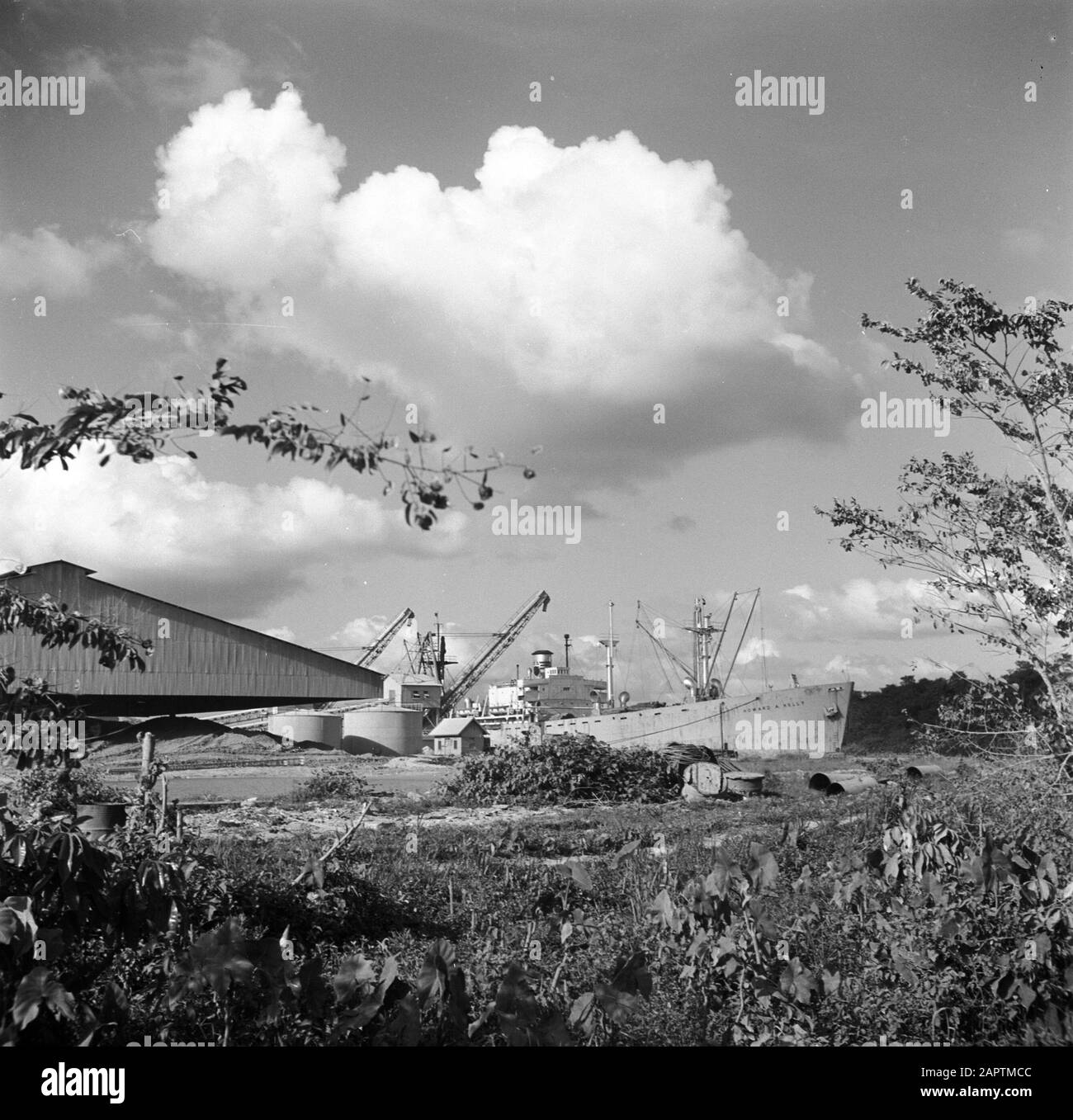 Paranam hi-res stock photography and images - Alamy