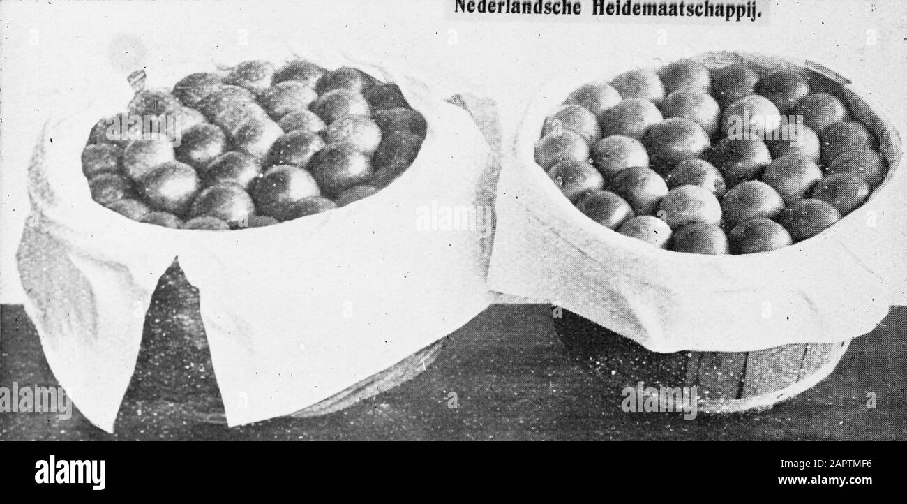 Packaging material handling Black and White Stock Photos & Images - Alamy