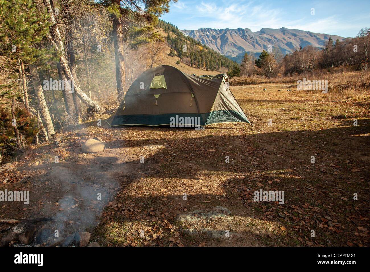 Tent Camping Under a Pine Tree in the Mountains, First Morning Light ...