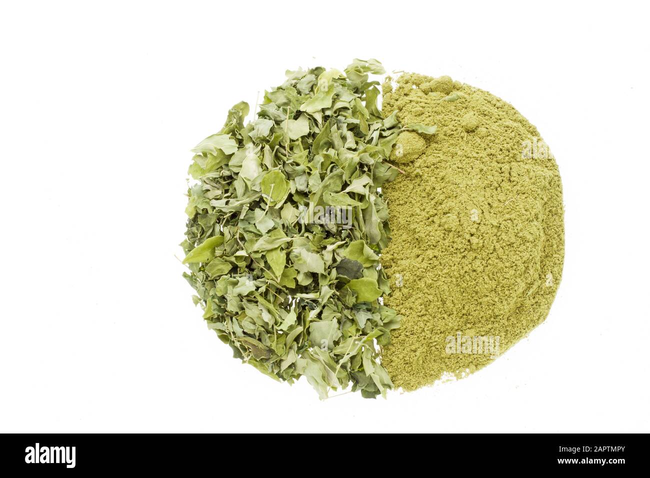 leaves and moringa powder, super food and natural medicine, Moringa ...