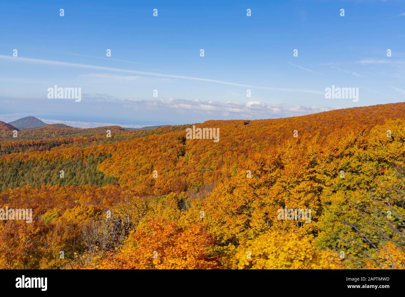 Aerial fall color of the Hakkoda Mountains at Aomori Stock Photo - Alamy