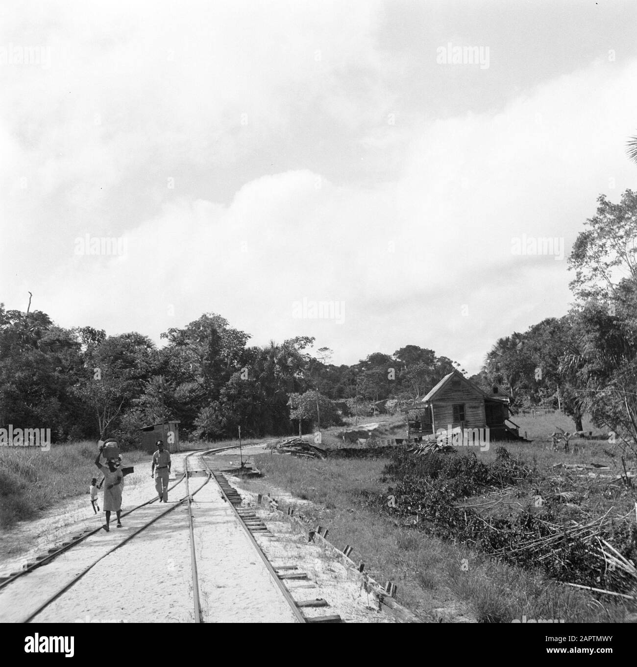 Travel to Suriname and the Netherlands Antilles The gold field train ...