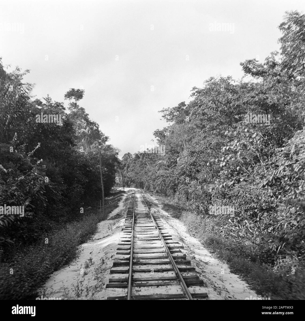 Travel to Suriname and the Netherlands Antilles The trail of the ...