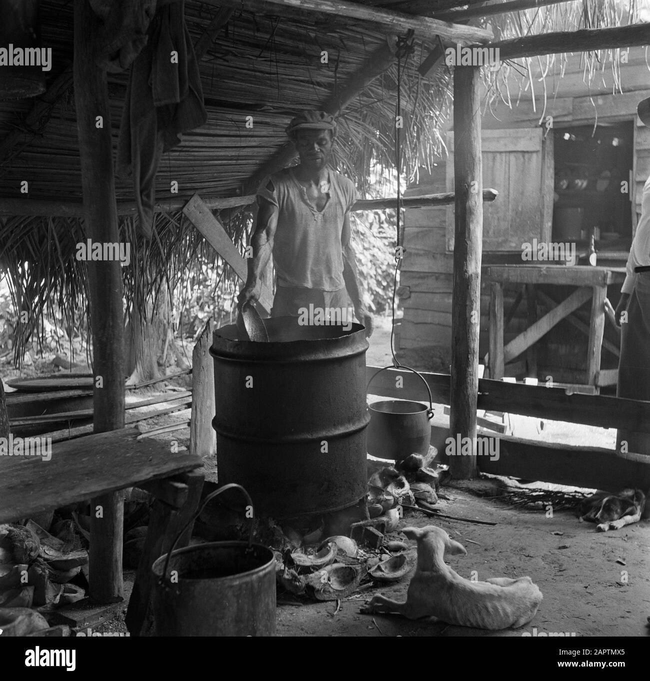 Travel to Suriname and the Netherlands Antilles Cooking out coconut ...