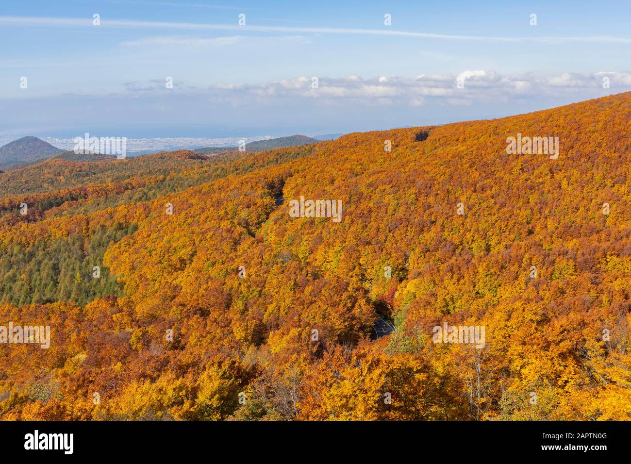 Aerial fall color of the Hakkoda Mountains at Aomori Stock Photo - Alamy