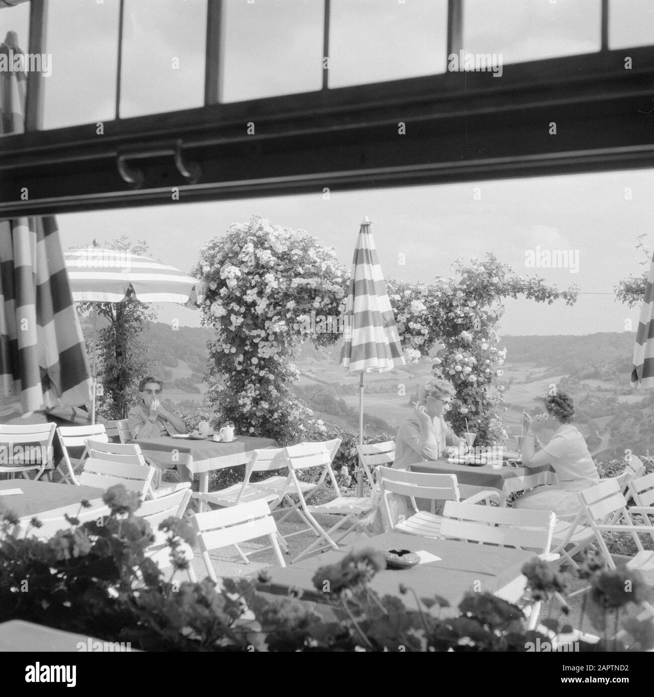 Rose Hilde High Resolution Stock Photography and Images - Alamy