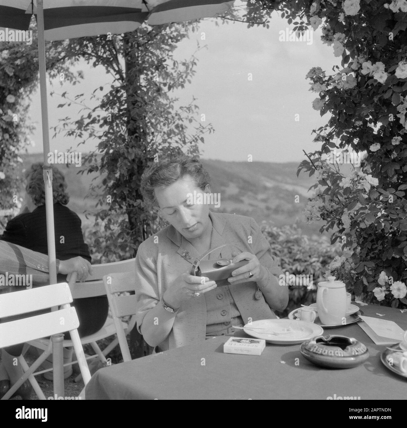 Rose hilde hi-res stock photography and images - Alamy