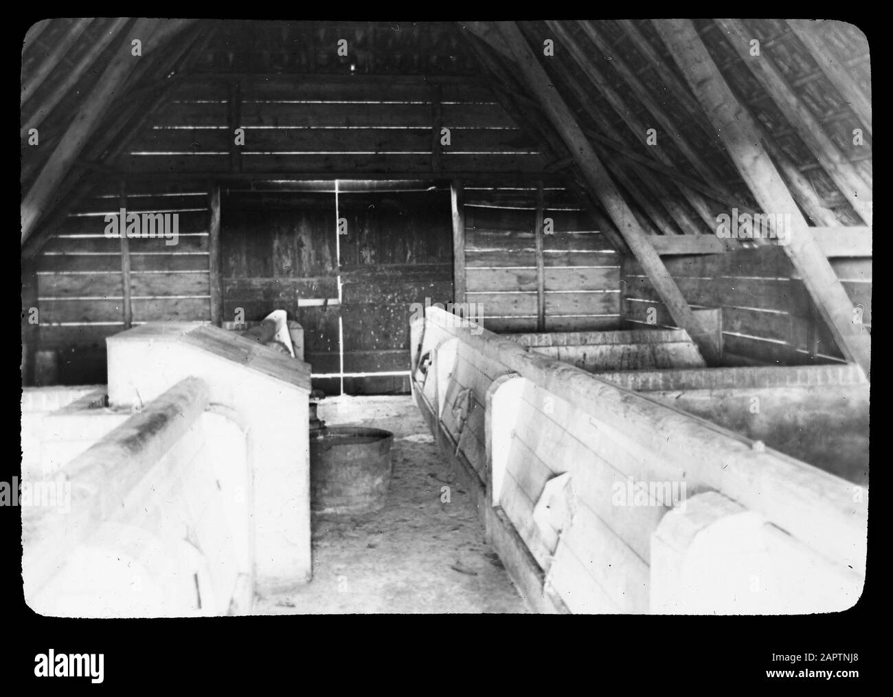 livestock, interior, pigsty den field Date: undated Keywords: interior ...
