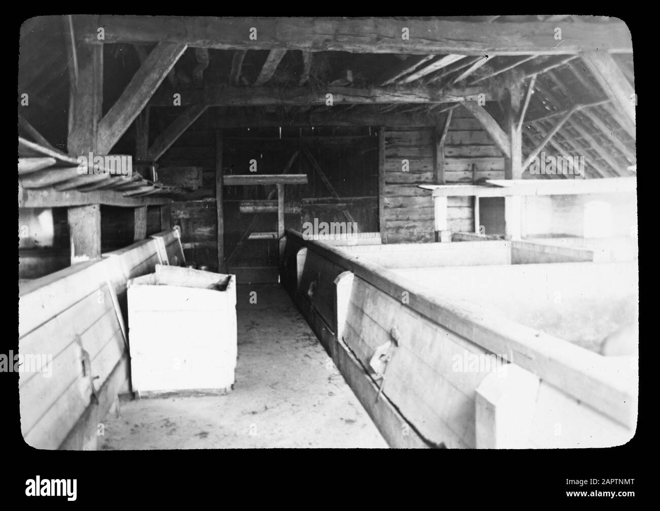 livestock, interior, pigsty den field Date: undated Keywords: interior ...