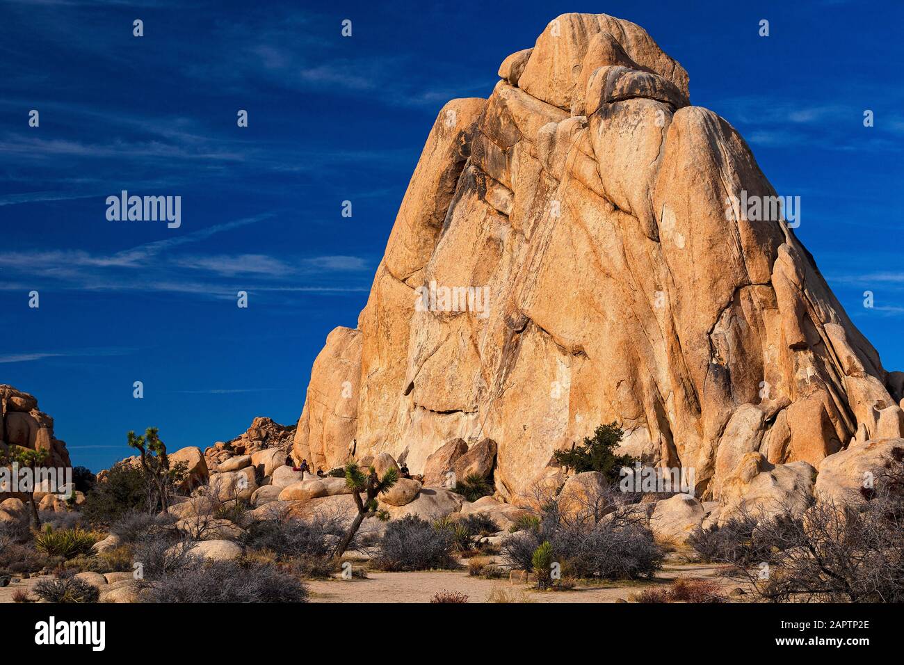 Joshua Tree National Park California USA. Intersection Rock is a ...