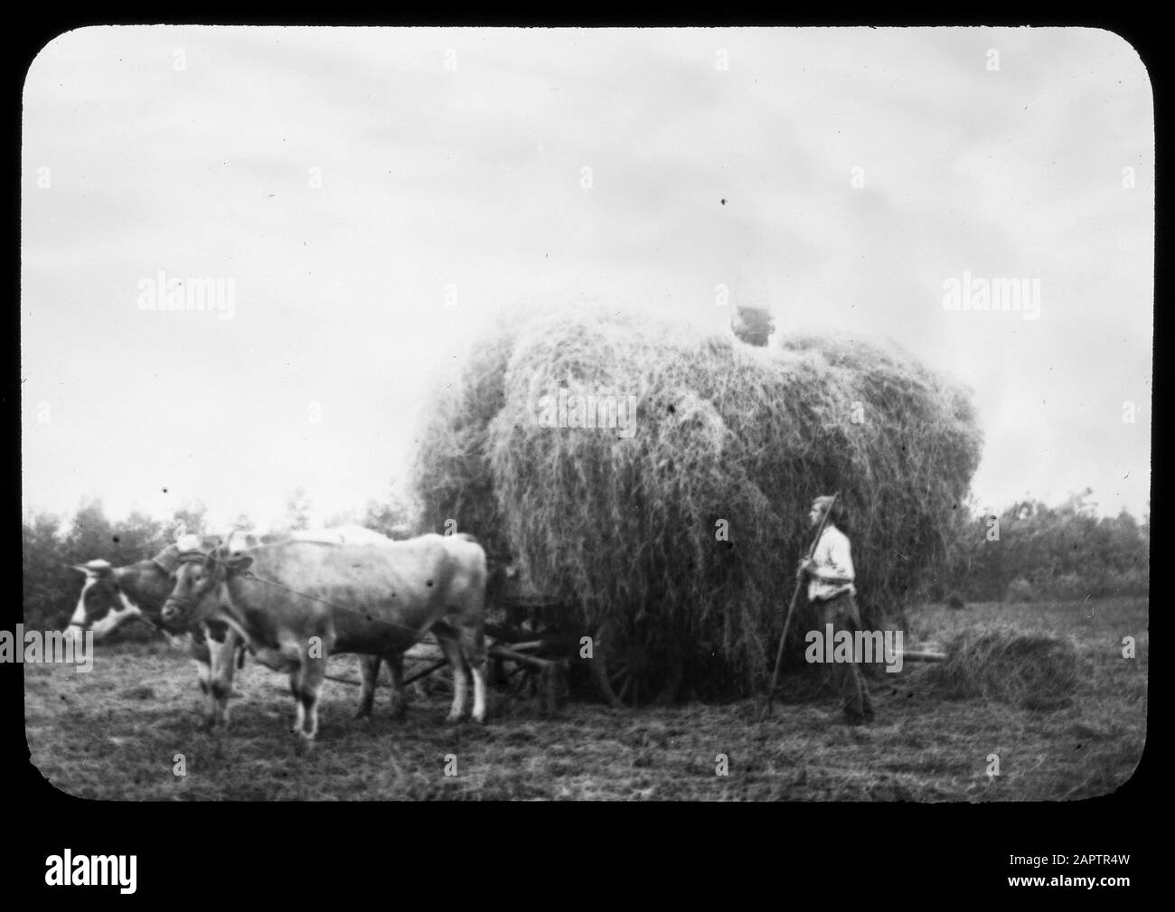 mining, crops in the field, hay Date: undated Keywords: crops in the ...