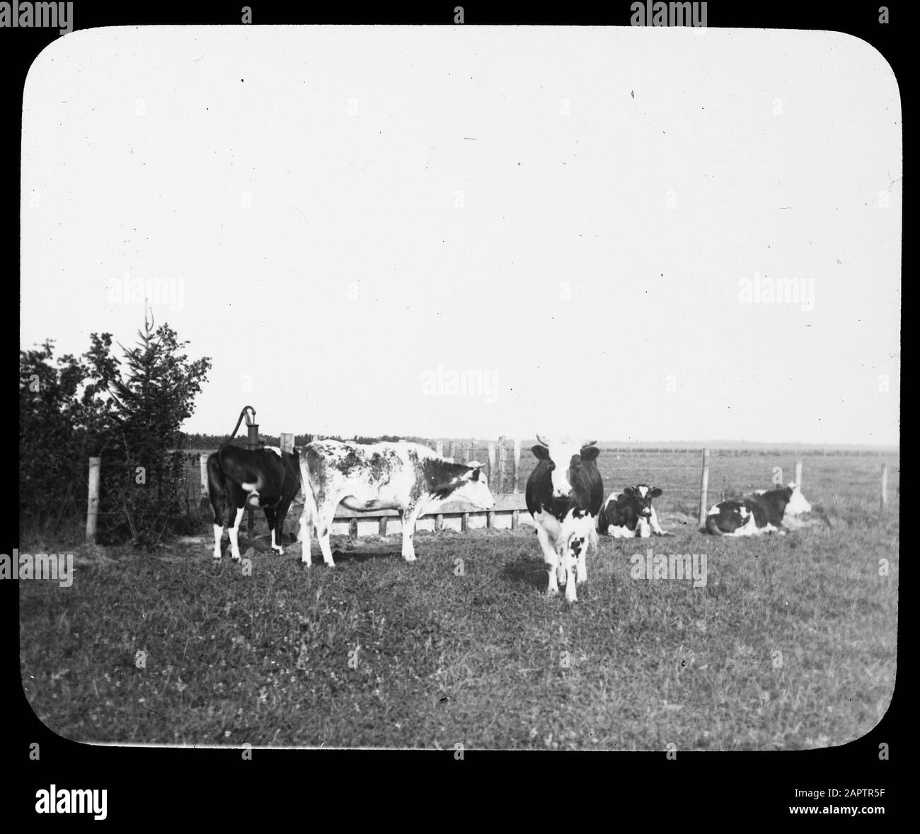 mining, crops in the field, cows Date: undated Keywords: crops in the ...