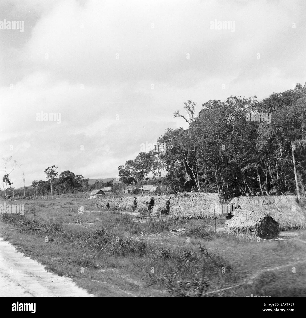 Travel to Suriname and the Netherlands Antilles Cabins along the gold ...