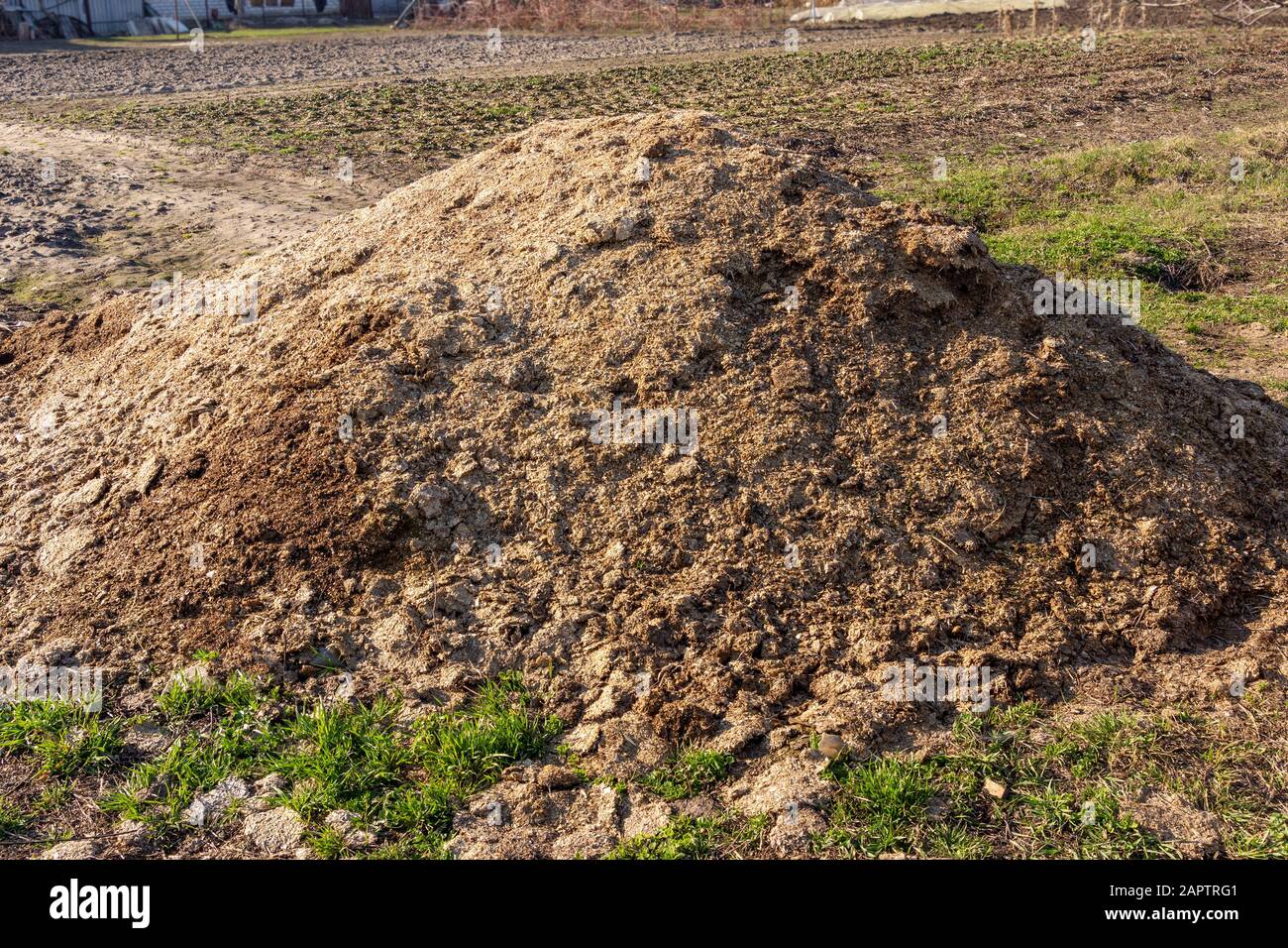 large pile organic rotten chicken droppings in spring. Natural ...
