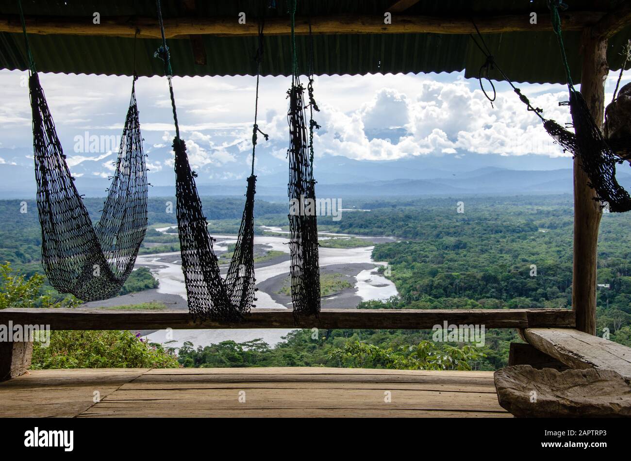 Three hammocks with great view of the amazon rainforest in Ecuador ...