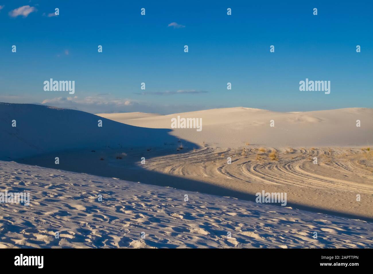 Gypsum dunes, White Sands National Monument; Alamogordo, New Mexico ...