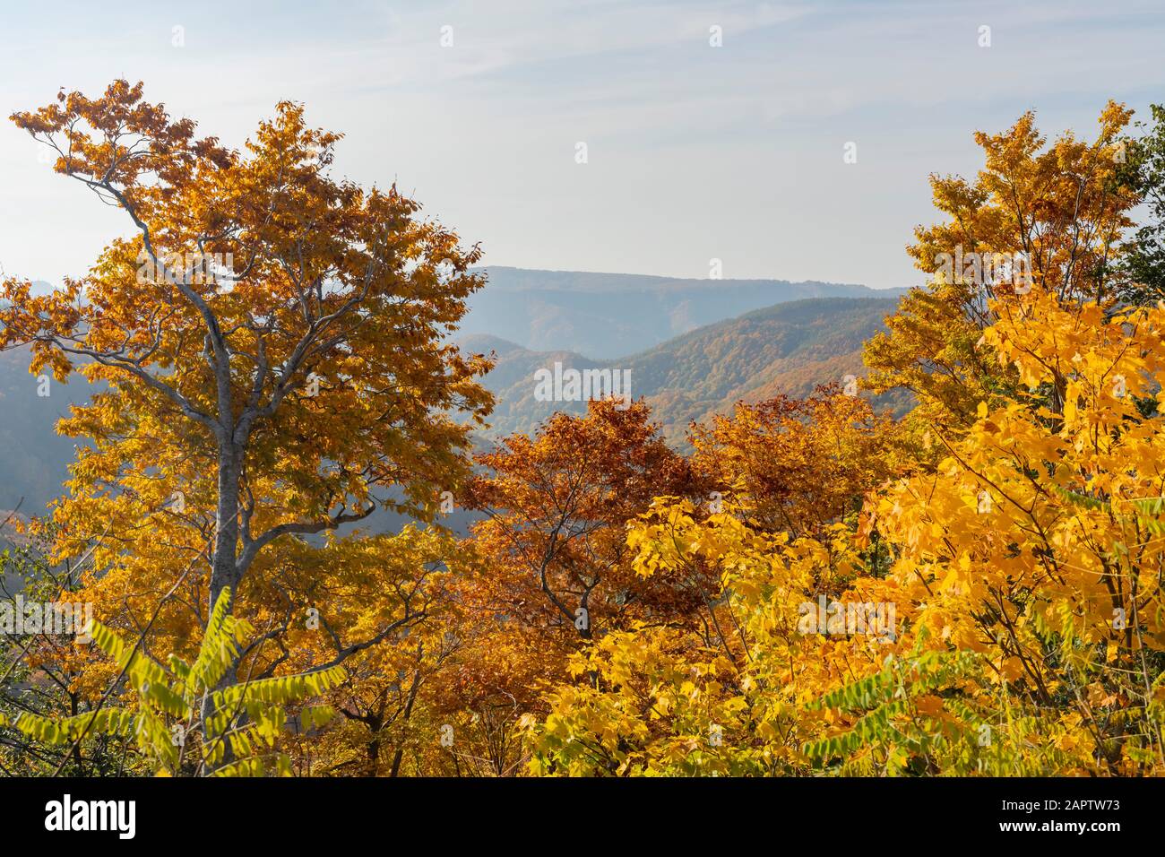 Fall color of the Hakkoda Mountains at Aomori, Japan Stock Photo - Alamy