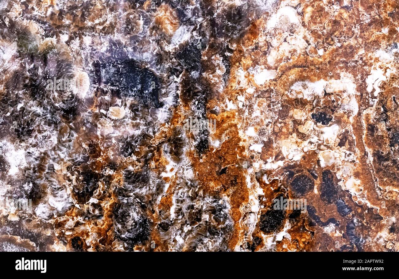 Glossy marble with brown, black and white patterns. A sample of natural ...