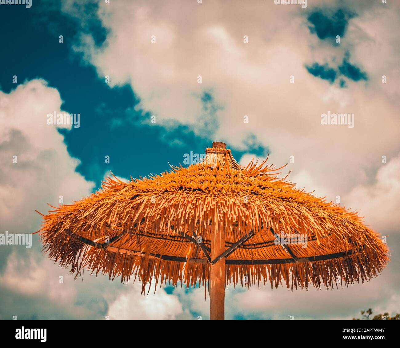 Flamingo beach, Renaissance Island Aruba. Bamboo beach umbrella hut ...