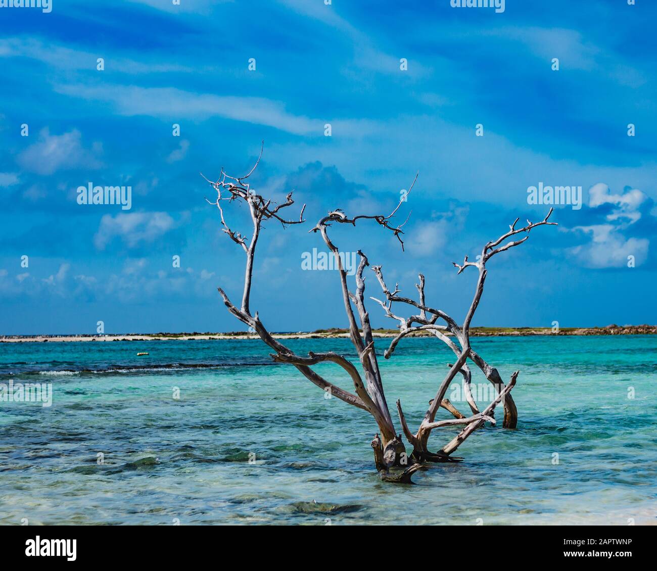 Roger's Beach Aruba. Beautiful blue crystal clear beach Stock Photo - Alamy