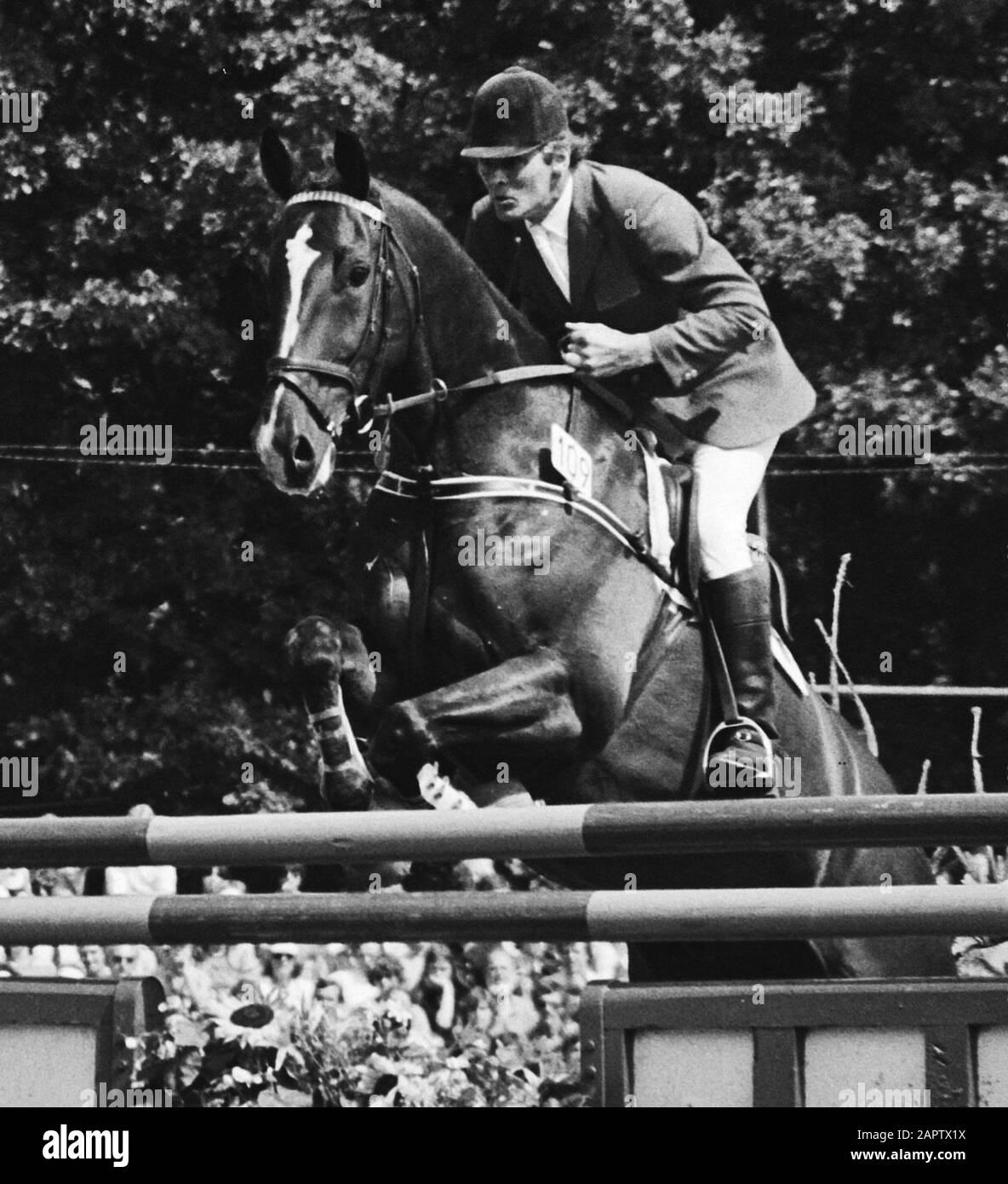 Gerd wiltfang hi-res stock photography and images - Alamy