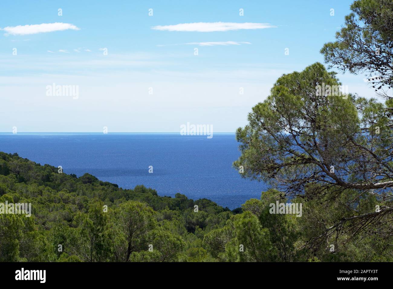Beautiful Balearic sea coast with trees, clean blue water and cloudy ...