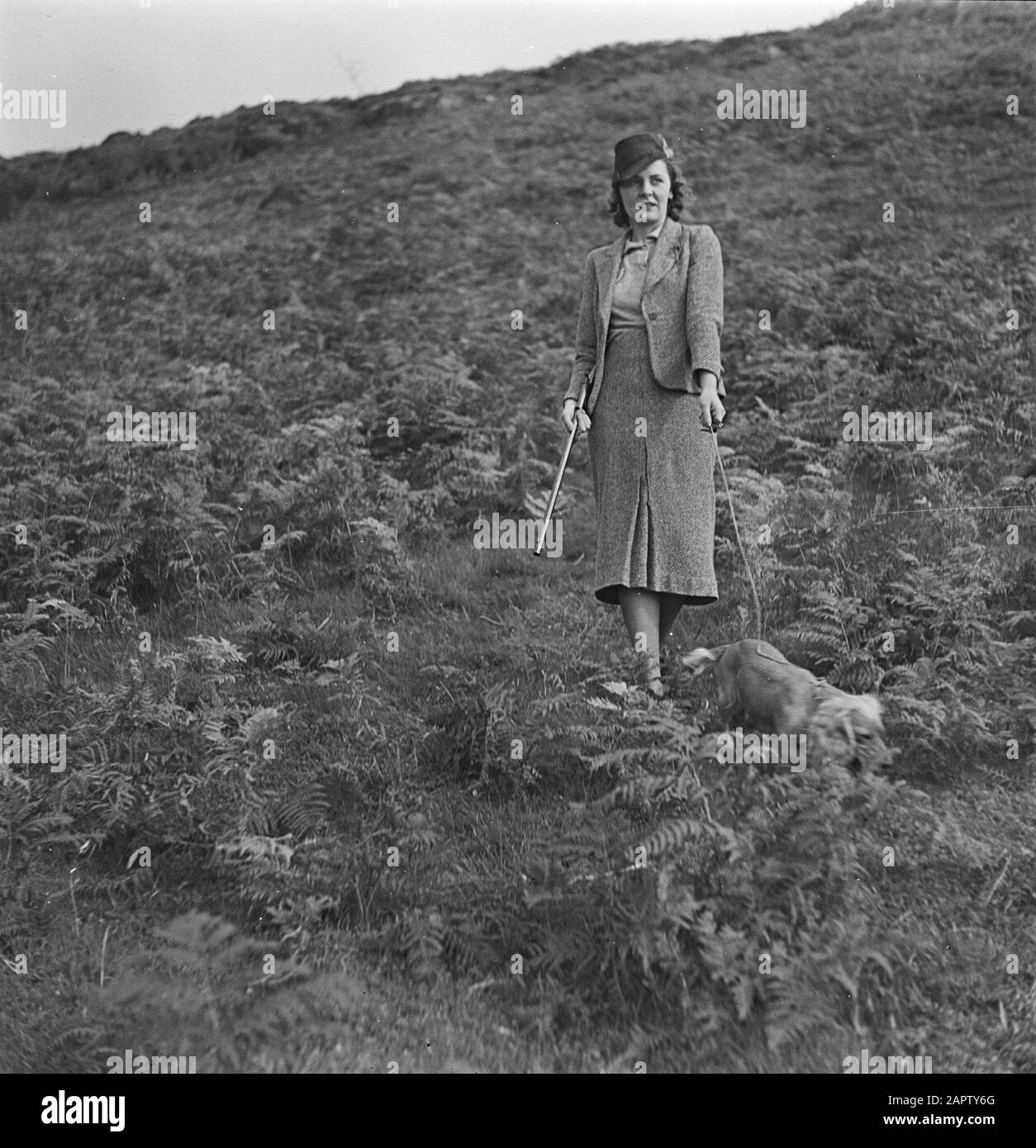Grouse hunting on Skye Hunting. Woman with a shotgun and a dog Date ...