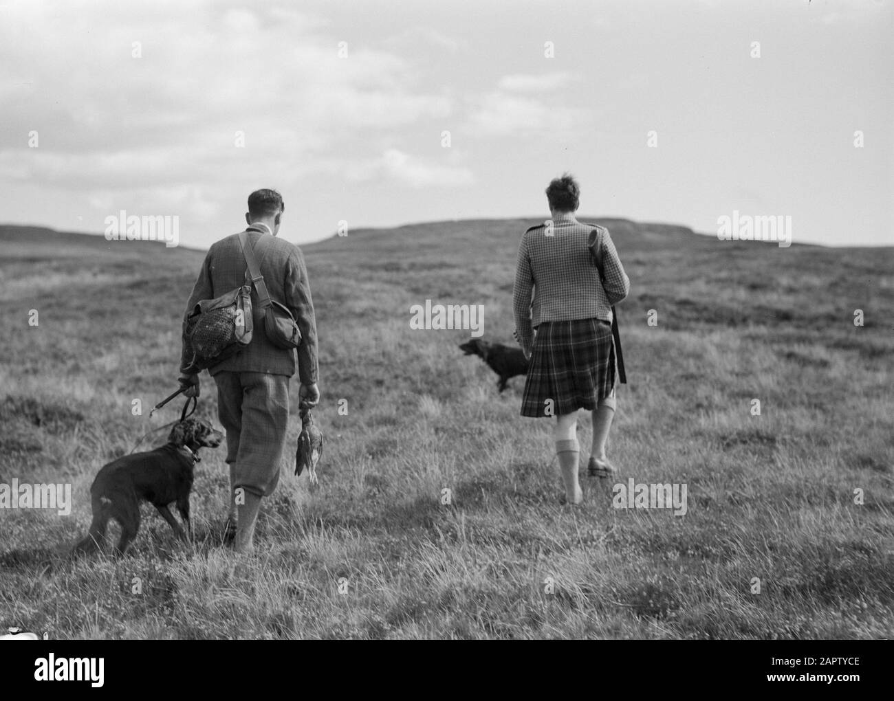 Scottish game hunting hi-res stock photography and images - Alamy