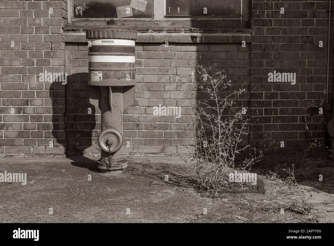 Old water hydrant, fire brigade hydrant, disused, brick wall in the ...