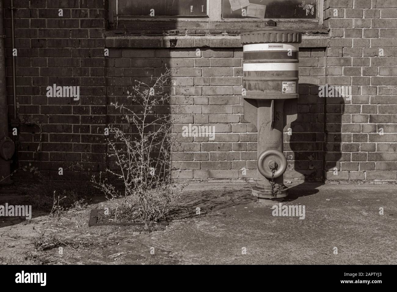 Old water hydrant, fire brigade hydrant, disused, brick wall in the ...