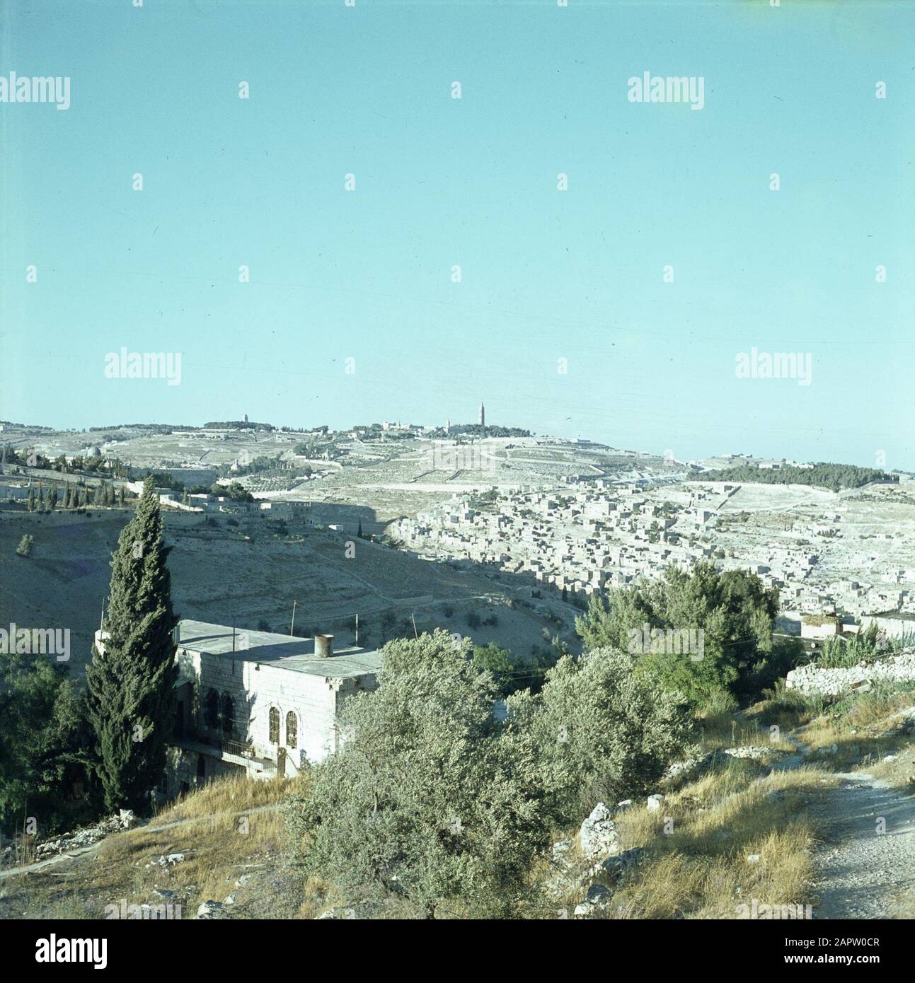 Jerusalem. View of the Mount of Olives from Mount Zion Date: undated ...