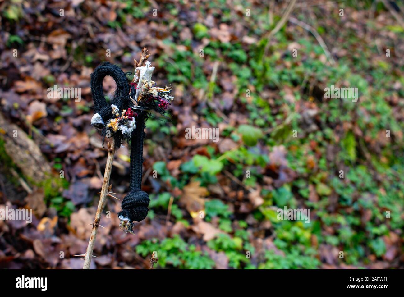 Frayed knot hi-res stock photography and images - Alamy