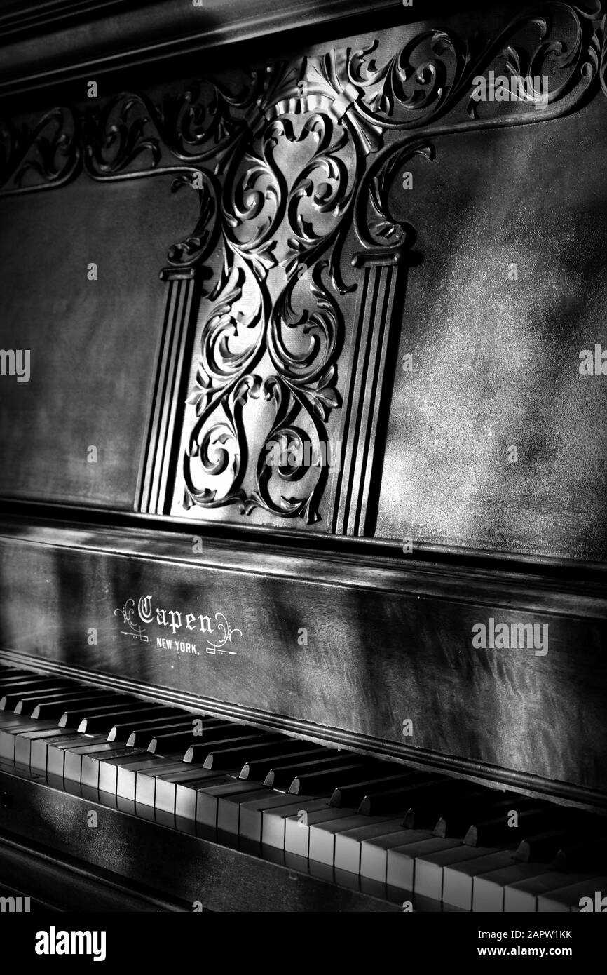 Upright or arching Black and White Stock Photos & Images - Alamy