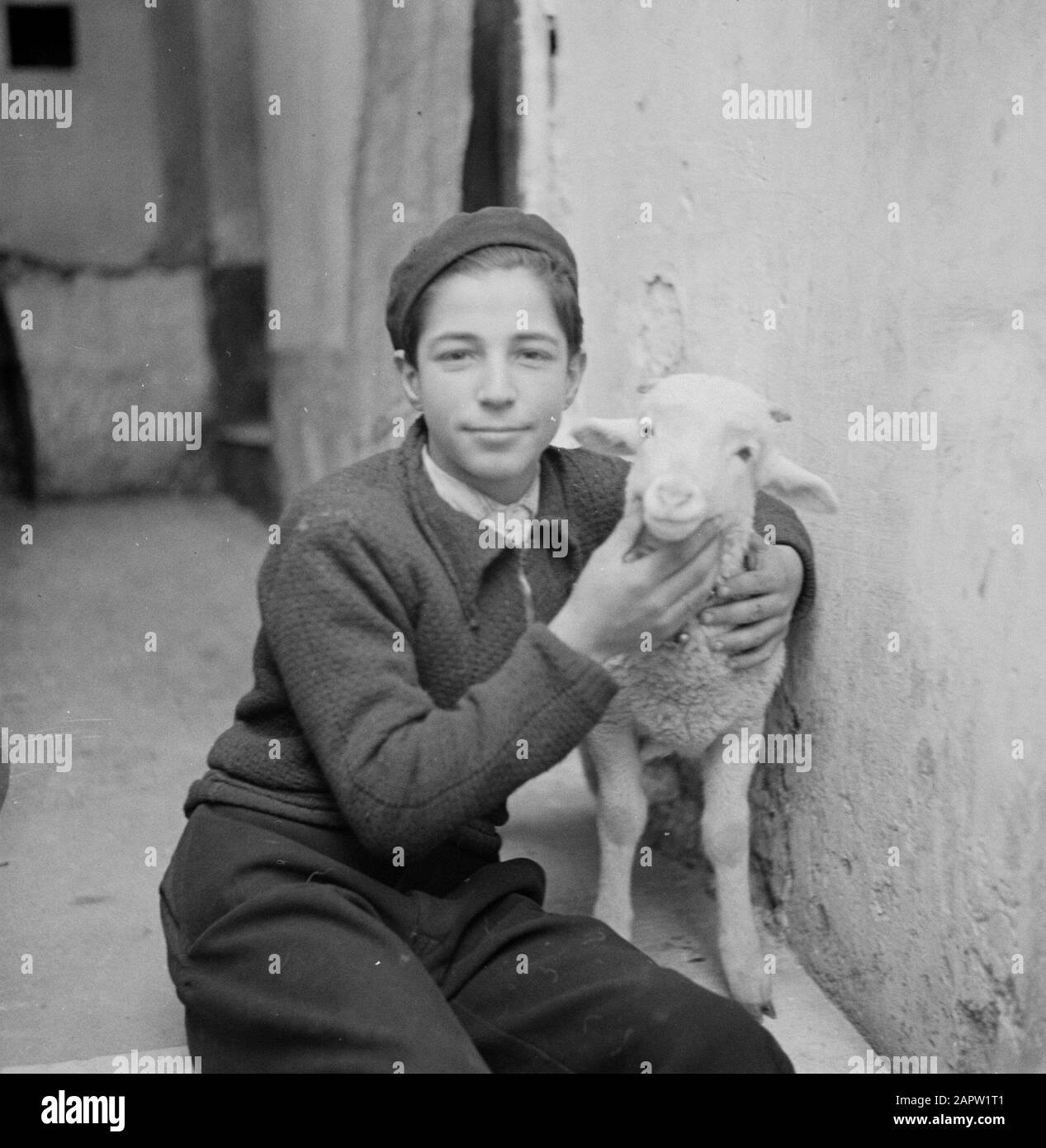 Boy with lamb hi-res stock photography and images - Alamy
