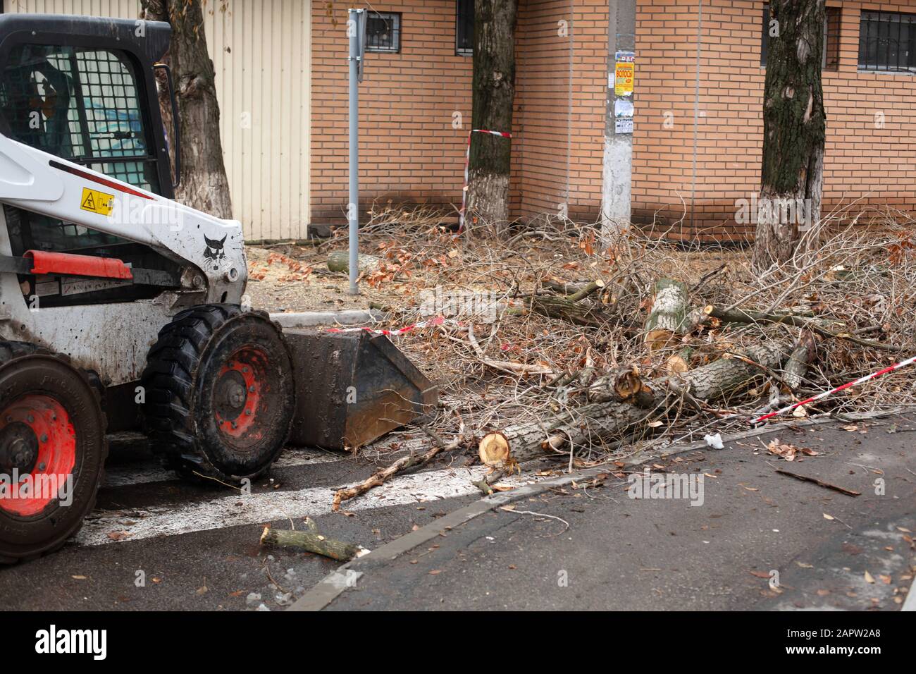 Fascinating Who Removes Fallen Trees From Roads Gallery