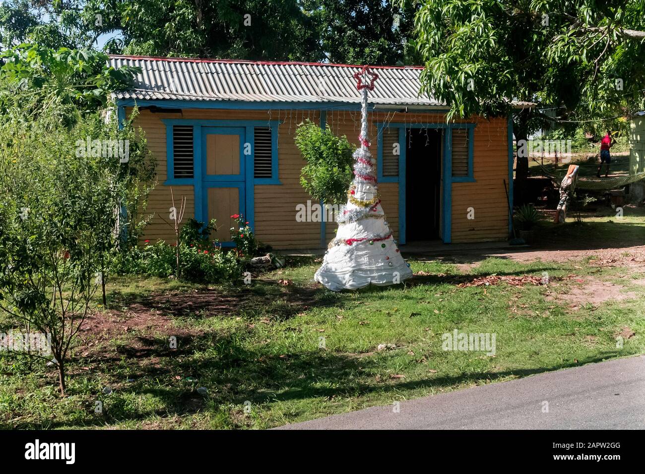 Christmas tree a-la Dominican, Dominican Republic , Dominican Republic ...