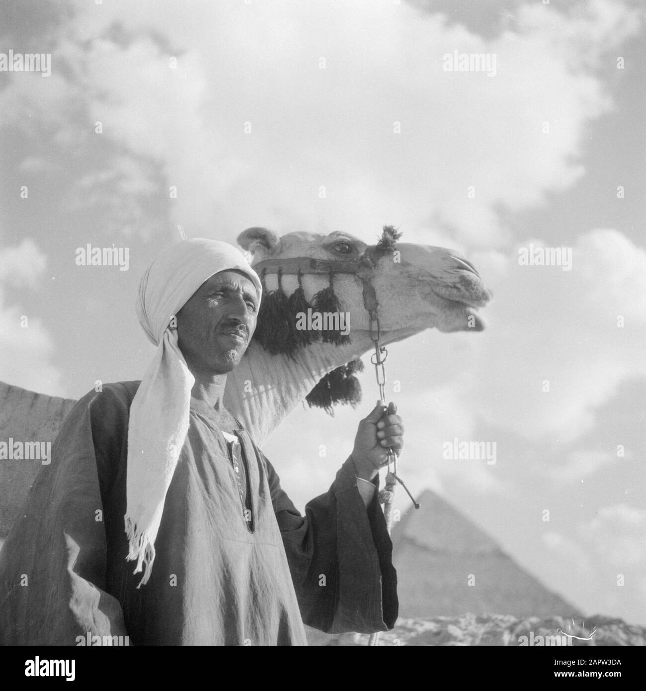 Middle East 1950-1955: Egypt Camel keeper with his camel for tourists ...