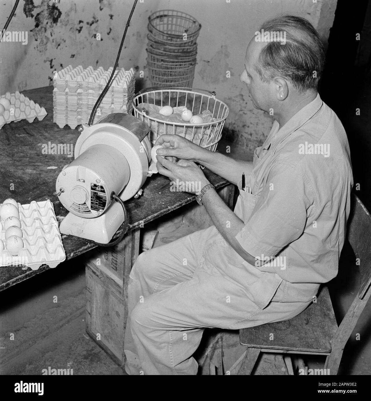 Poultry workers hi-res stock photography and images - Alamy