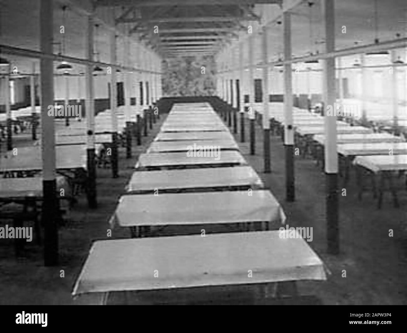 Camp Princess Irene Brigade in Wrottesley Park at Wolverhampton under ...