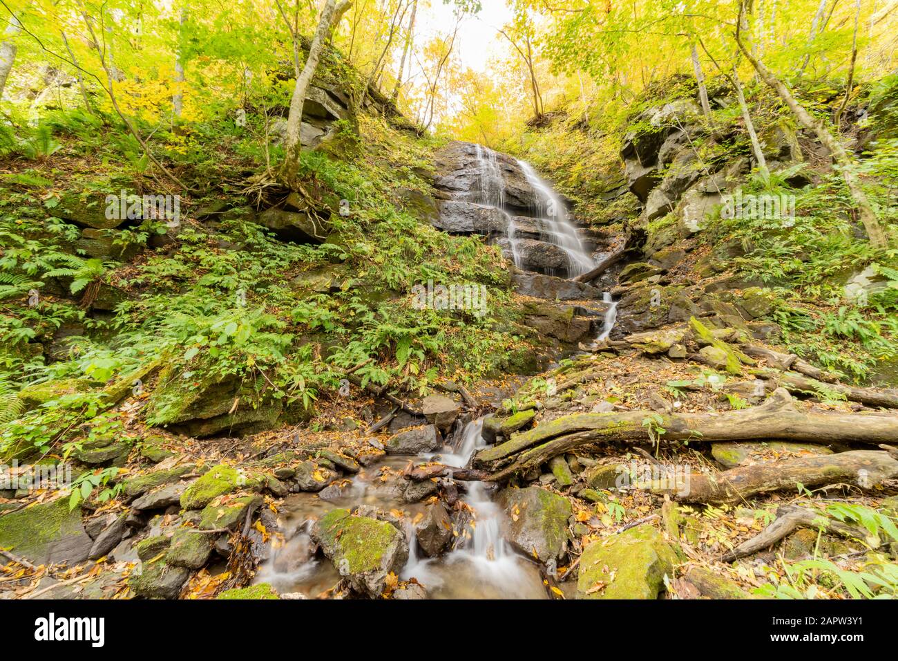 Beautiful fall color of the Nine Steps Fall, Oirase Gorge at Aomori ...