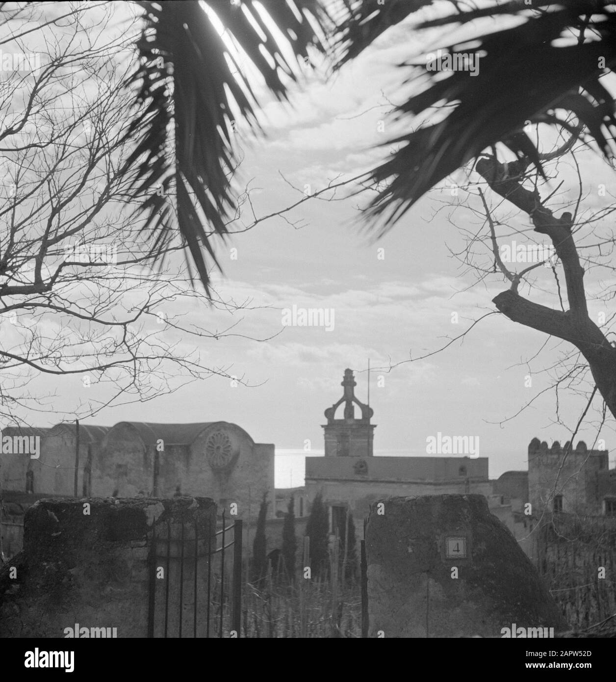 Capri in winter Church buildings with a tree in the foreground Date ...