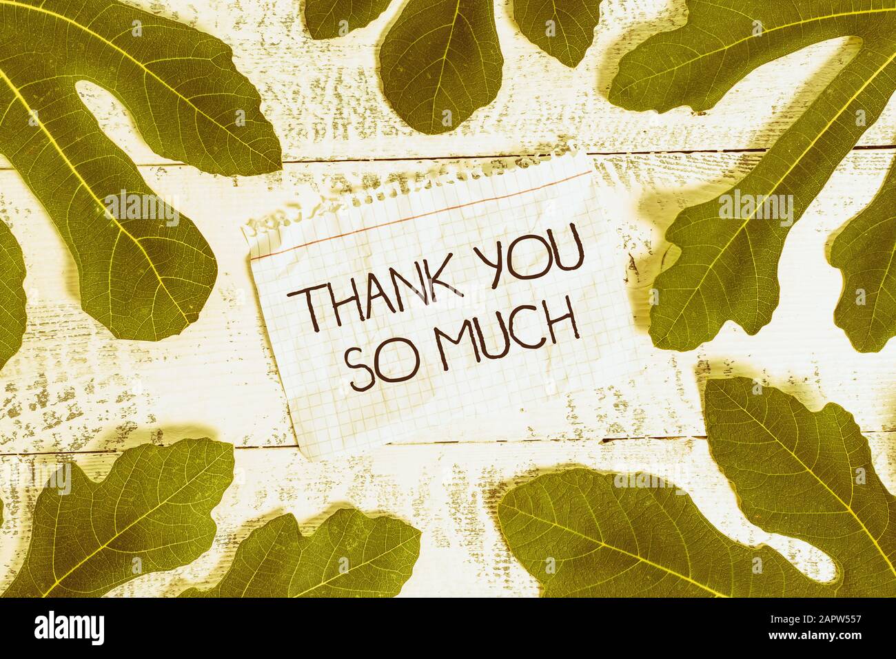 Writing note showing Thank You So Much. Business concept for Expression of Gratitude Greetings ...