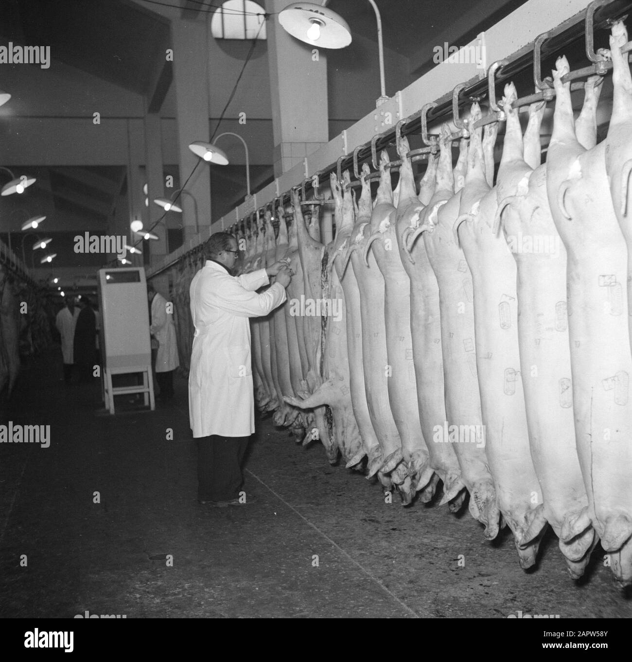 Progressive Era Meat Factories
