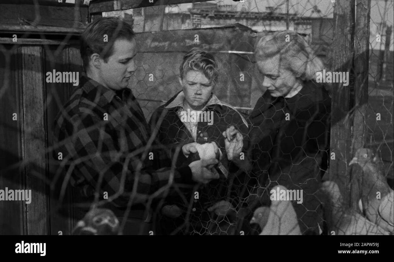 Los Angeles.CA.USA. Thomas Handley , Marlon Brando and Eve Marie Saint ...