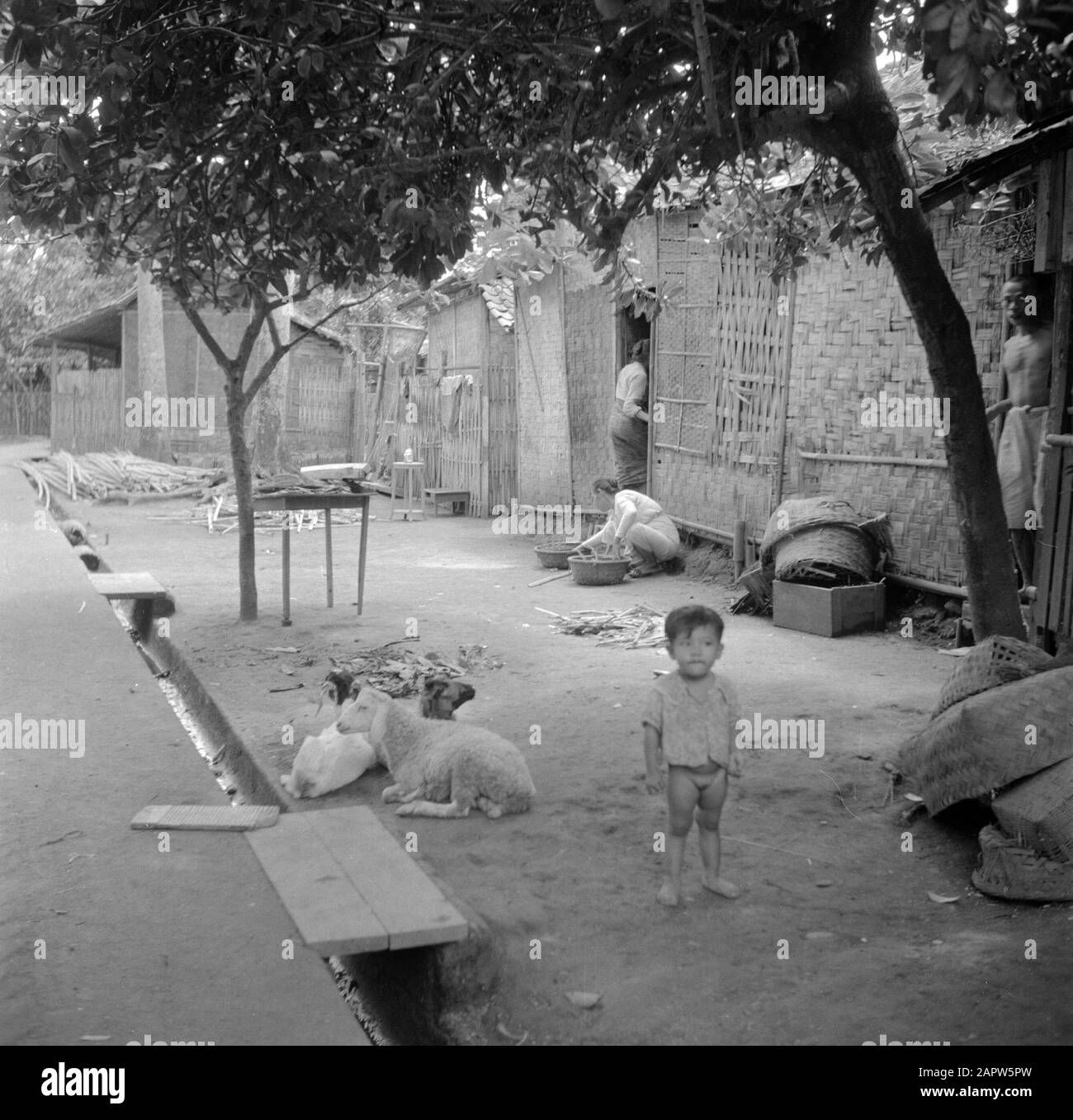 War volunteers in Malacca and Indonesia Child and sheep in a kampong on ...