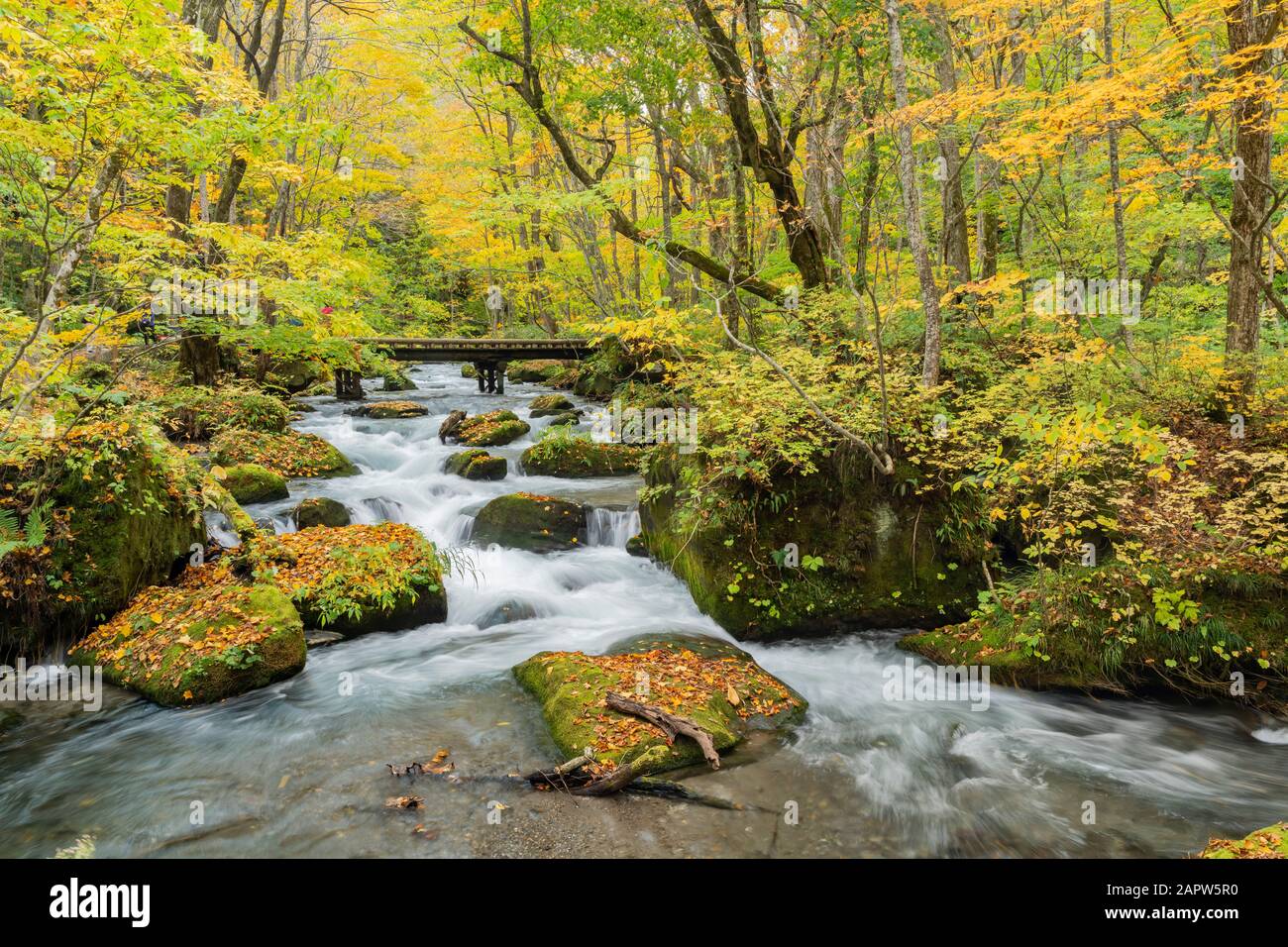 Beautiful fall color of the Oirase Gorge at Aomori, Japan Stock Photo ...