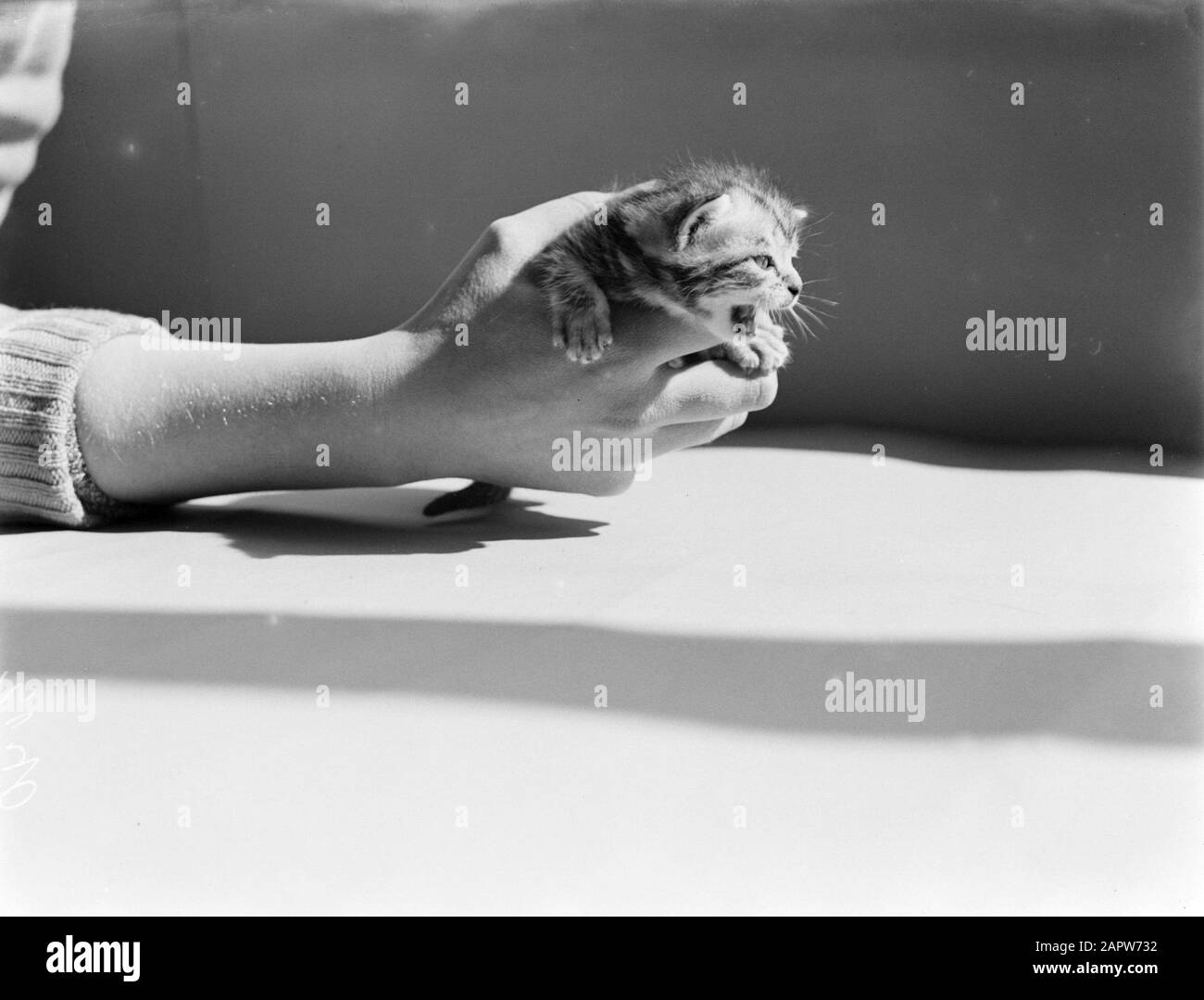 Hand in nature young Black and White Stock Photos & Images - Alamy