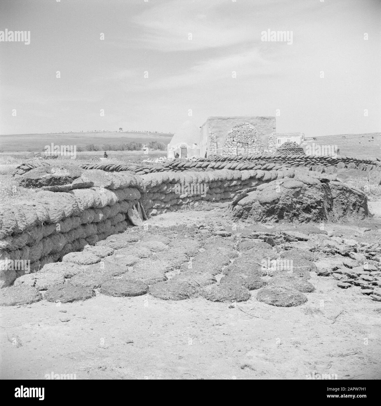 Manure cow Black and White Stock Photos & Images - Alamy