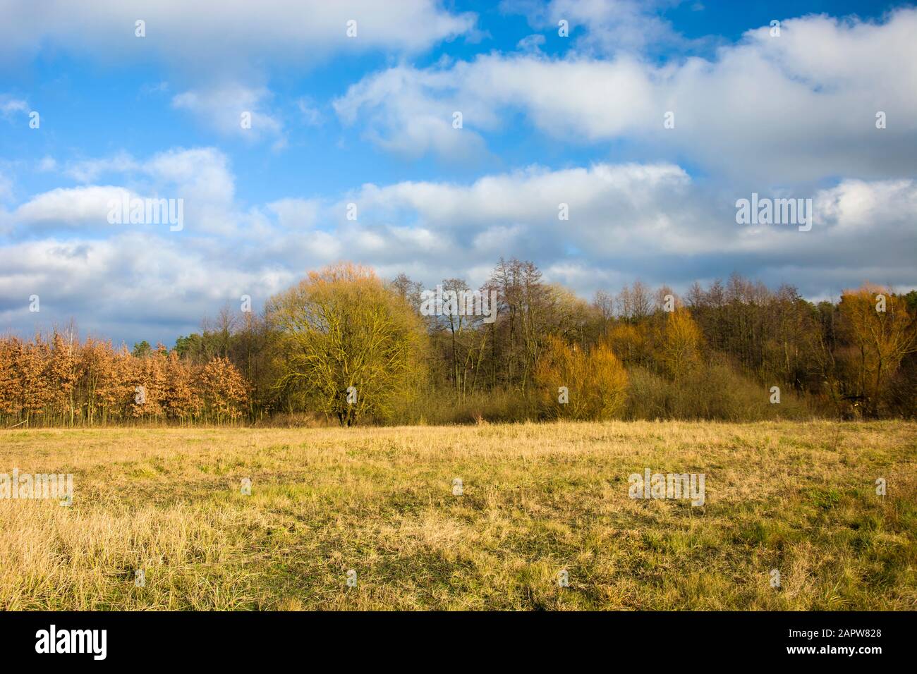 Blue autumn sky with white clouds hi-res stock photography and images ...